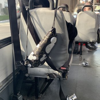 SMS TRANSPORTATION SERVICES - Updated December 2025 - 19 Photos & 13 ...