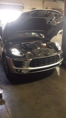 STAR TECH FOREIGN AUTO REPAIR - 172 Photos & 354 Reviews - 14602 ...