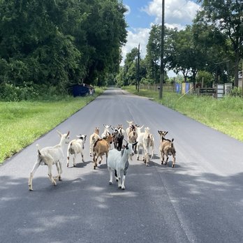 WATER STONE RANCH - Updated October 2025 - 190 Photos & 81 Reviews ...