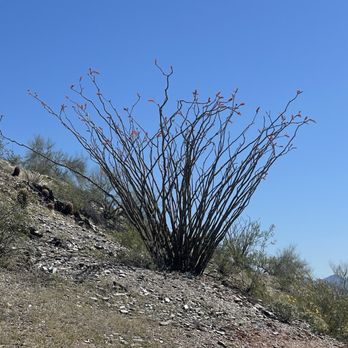 DREAMY DRAW RECREATION AREA - Updated January 2026 - 295 Photos & 80 ...