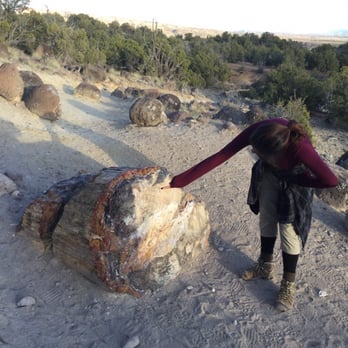 ESCALANTE PETRIFIED FOREST STATE PARK - Updated June 2024 - 39 Photos ...