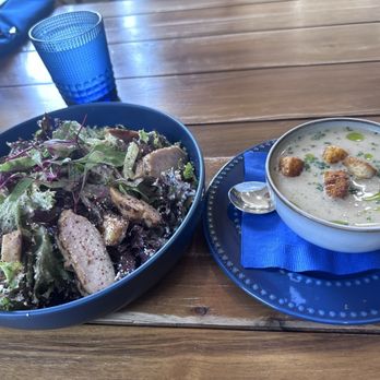 OCTOPUS BAJA - Updated December 2025 - 608 Photos & 238 Reviews - 2731 ...