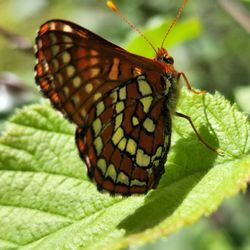 THE 10 BEST Things to Do in Biggs Junction, OR - 2025 - Yelp