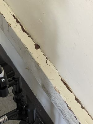 THE REDWOODS POST-ACUTE - Updated January 2026 - 27 Photos & 17 Reviews ...