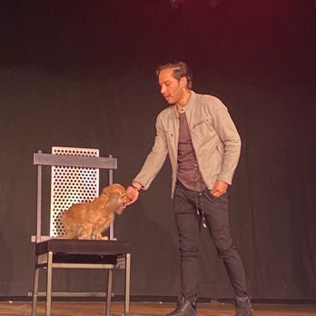 ALEX RAMON MAGIC - Updated July 2025 - 122 Photos & 144 Reviews - 18 ...