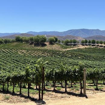 LEONESS CELLARS - Updated November 2024 - 2820 Photos & 2221 Reviews ...