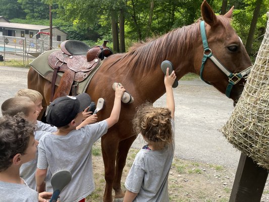 CAMP GUYASUTA - Updated December 2025 - 42 Photos - 300 23rd St ...