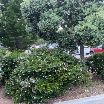 NEPTUNE’S NET - Updated January 2025 - 2039 Photos & 2175 Reviews ...