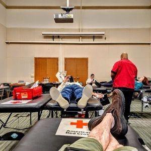 HORSHAM TOWNSHIP LIBRARY - Updated July 2025 - 14 Reviews - 435 Babylon ...