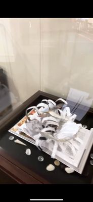 DEKALB COUNTY PUBLIC LIBRARY - Updated December 2025 - 43 Photos & 35 ...