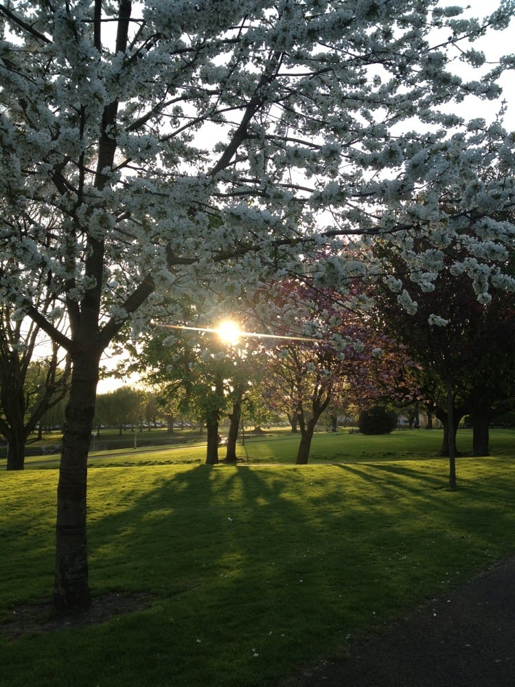 GRIFFITH PARK - Updated September 2024 - 41 Photos - Glasnevin ...