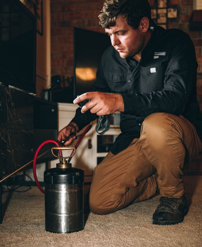 ACCENT PEST SOLUTIONS - Updated September 2025 - Laplace, Louisiana ...