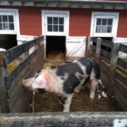 SLATE RUN LIVING HISTORICAL FARM - 34 Photos & 11 Reviews - 1375 ...