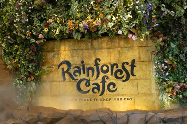 RAINFOREST CAFE - Updated June 2026 - 381 Photos & 366 Reviews - 4310 ...