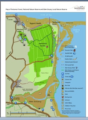 TENTSMUIR SANDS & FOREST - Updated August 2024 - Leuchars, Fife, United ...