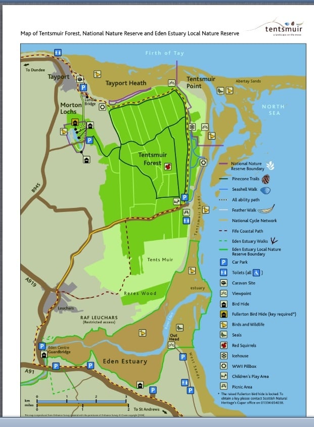 TENTSMUIR SANDS & FOREST - Updated August 2024 - Leuchars, Fife, United ...