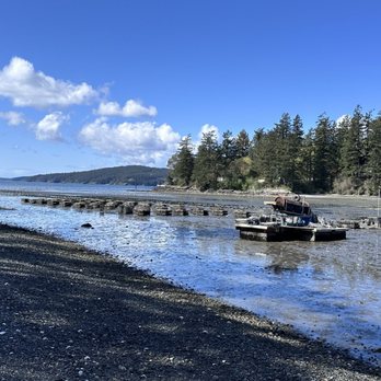 BUCK BAY SHELLFISH FARM - TEMP. CLOSED - Updated January 2025 - 323 ...