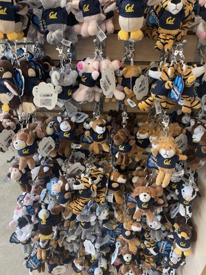 CAL STUDENT STORE - Updated October 2025 - 67 Photos & 26 Reviews ...