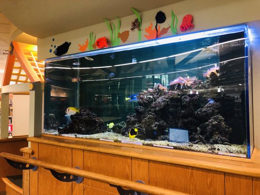 PIKE BRANCH LIBRARY - IMCPL - Updated October 2025 - 27 Photos - 6525 ...