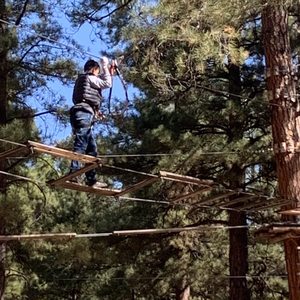 Flagstaff Extreme Adventure Course - 249 Photos & 271 Reviews ...