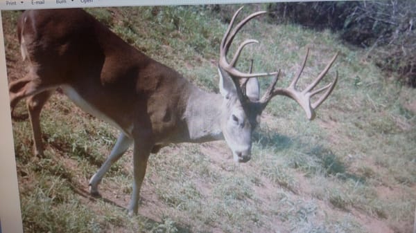 SAN CRISTOBAL RANCH - Updated August 2025 - 1520 Fm 2294, Delmita ...