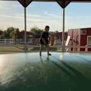 ORR FAMILY FARM - 161 Photos & 51 Reviews - Amusement Parks - 14400 S ...