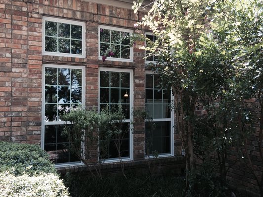 RINGER WINDOWS - Updated December 2025 - 36 Photos & 63 Reviews - 205 ...