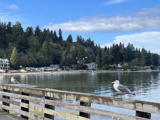 ILLAHEE STATE PARK - 52 Photos & 15 Reviews - 3540 NE Sylvan Way ...