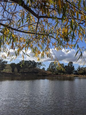 SANDY WOOL LAKE - 110 Photos & 18 Reviews - 3248 Levin Park Access Rd ...