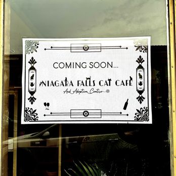 NIAGARA FALLS CAT CAFE - Updated January 2026 - 27 Photos - 4529 Queen ...
