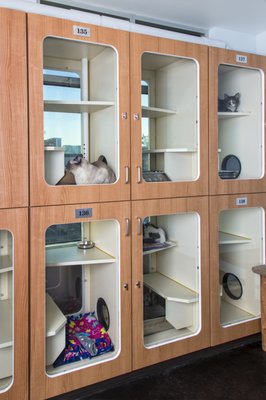 OLDE TOWNE PET RESORT - Updated October 2025 - 130 Photos & 168 Reviews ...