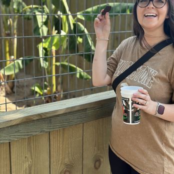 ALLIGATOR ALLEY - Updated January 2025 - 493 Photos & 170 Reviews ...