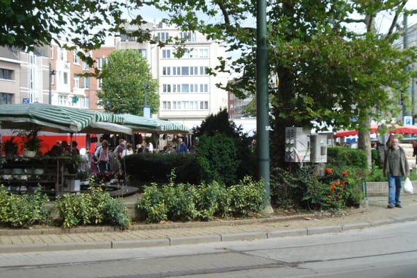 MARCHÉ DE STOCKEL - Updated January 2026 - 10 Photos - Place Dumon ...
