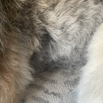 PAWSITIVELY POOCHED - Updated January 2026 - 41 Photos & 18 Reviews ...