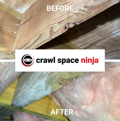 CRAWL SPACE NINJA OF ASHEVILLE - Updated September 2025 - 16 Photos ...