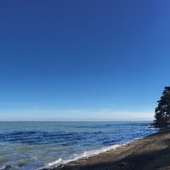 COYOTE POINT RECREATION AREA - Updated January 2025 - 643 Photos & 235 ...