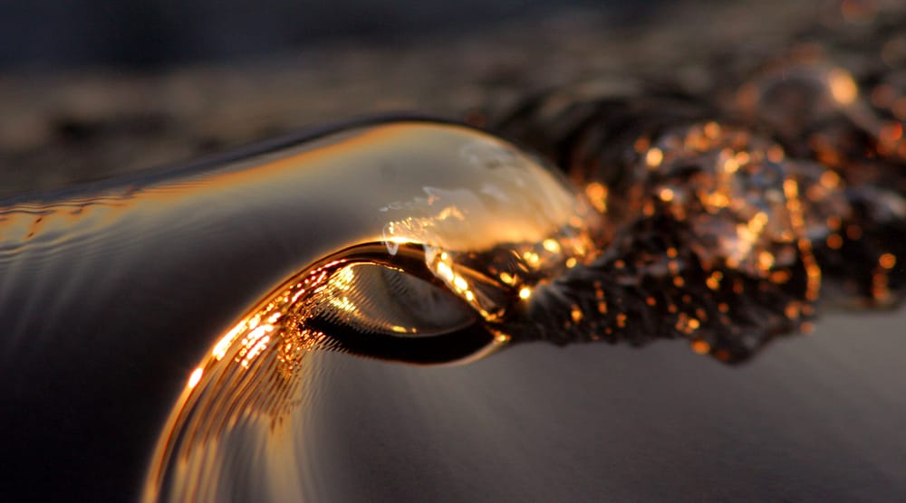 SCOTTY CARTER FINE ART - 10 Photos - Art Galleries - 360 Avenida ...