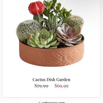 RUTH’S ROSES - Updated November 2024 - 428 Photos & 718 Reviews - 100 ...