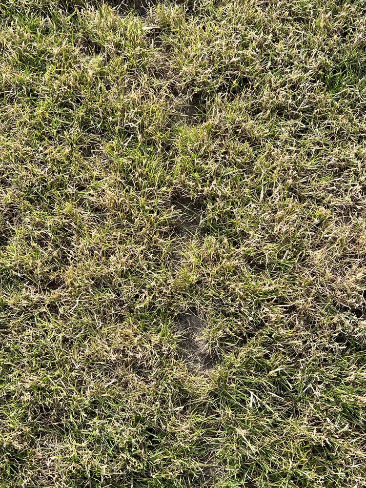 BACKYARD BLITZ - Updated April 2025 - 14 Photos - 851 California Way ...