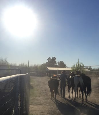 SAN FRANCISCO STABLES - Updated June 2025 - 18 Photos - 1114 Casad Rd ...