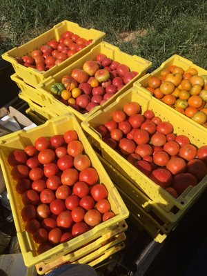 OVERLOOK PRODUCE, BAKERY & DELI - 36 Photos - 609 Friedens Church Rd ...