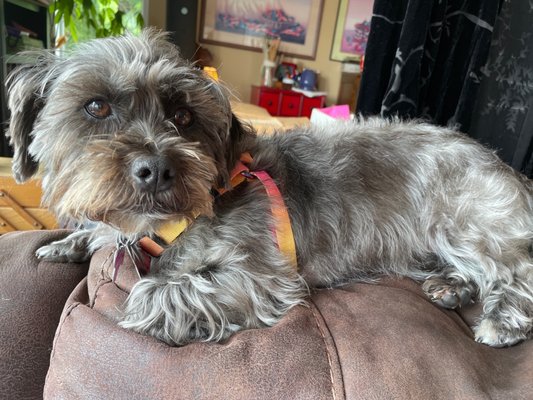 BOTHELL PET HOSPITAL - VETERINARY CLINIC - Updated August 2025 - 23 ...