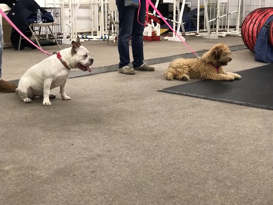 CHAAR - Updated October 2025 - 11 Photos & 42 Reviews - 1635 Airport Rd ...