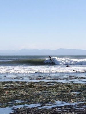 PLEASURE POINT - 303 Photos & 57 Reviews - Santa Cruz, California ...