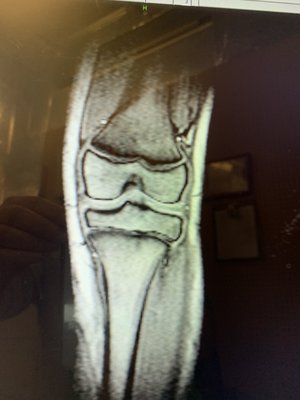 BRIAN E SCHWARTZ, MD - Updated December 2025 - 720 Florsheim Dr ...