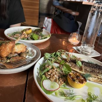 DOLLY OLIVE - Updated May 2025 - 470 Photos & 206 Reviews - 527 SW 12th ...