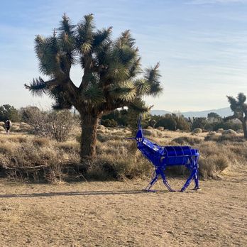 PRIME DESERT WOODLAND PRESERVE - Updated January 2026 - 211 Photos & 62 ...