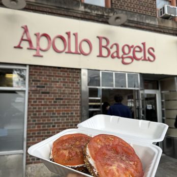 APOLLO BAGELS - Updated January 2025 - 116 Photos & 58 Reviews - 73 ...
