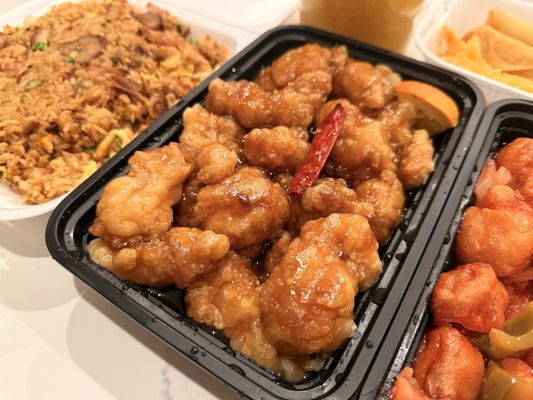 DRAGON BITE - Updated December 2025 - 167 Photos & 164 Reviews - 10890 ...