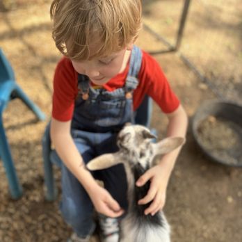 TURQUOISE ACRES RANCH - Updated December 2025 - 64 Photos & 10 Reviews ...